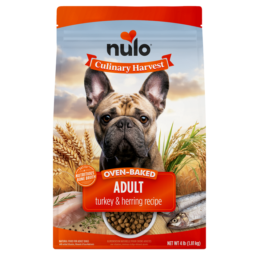 Nulo Culinary Harvest Oven Baked Adult Turkey & Herring Recipe Dry Dog ...