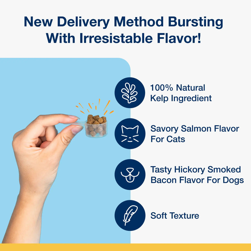 ProDen PlaqueOff Scoopables Soft Chews for Dogs - Incredible Pets