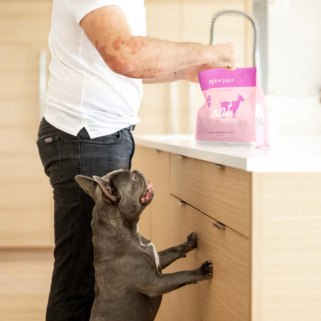 Green Juju LID Freeze-Dried Raw Goat Recipe for Dogs & Cats ...